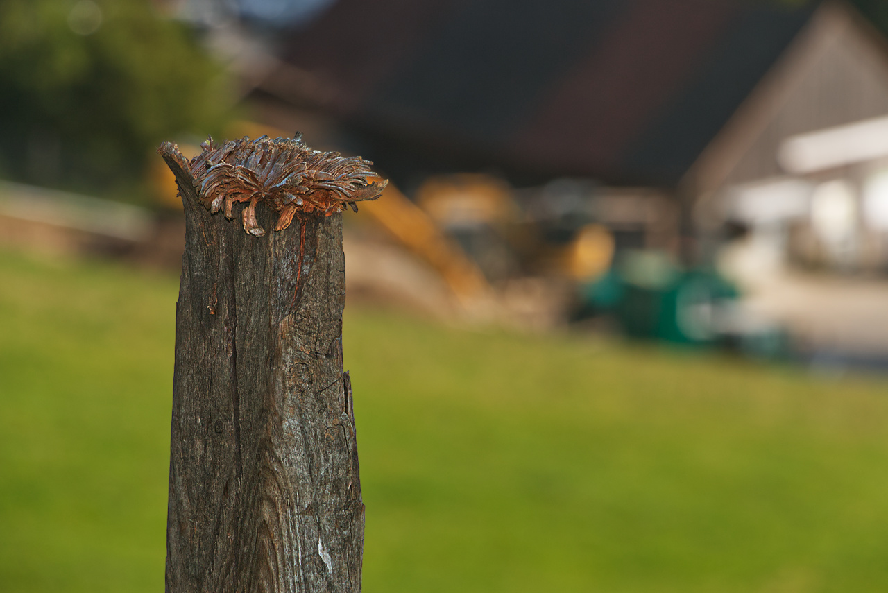 Armer Pfahl | d-pixx.de Forum