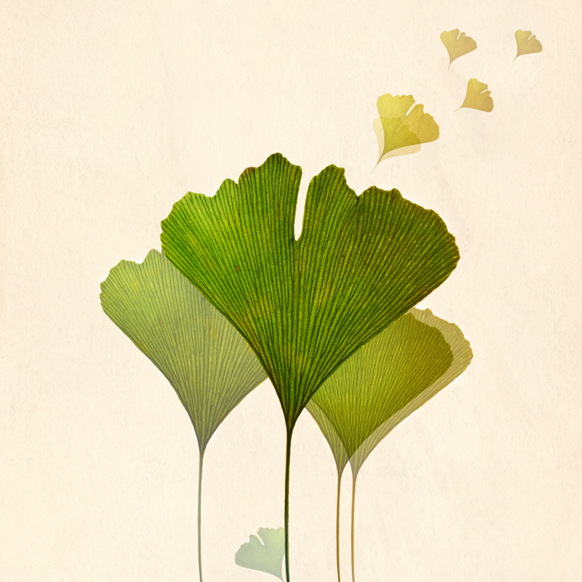 Auf und davon | d-pixx.de Forum