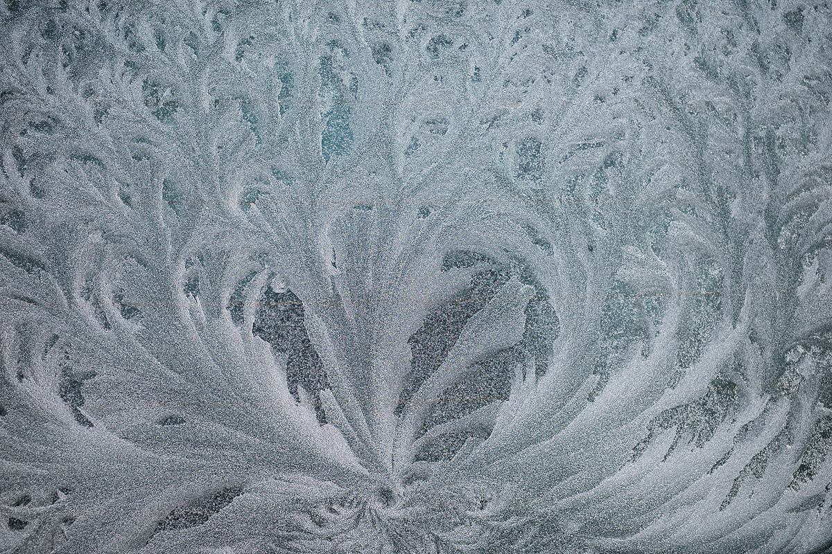 Blume oder Herz aus Eis? | d-pixx.de Forum