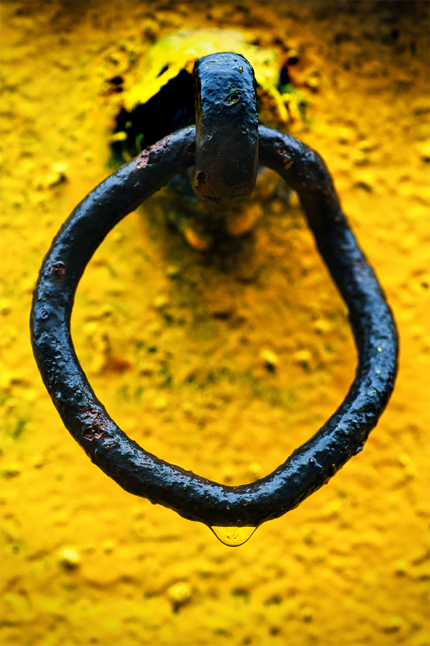 Der Ring | d-pixx.de Forum