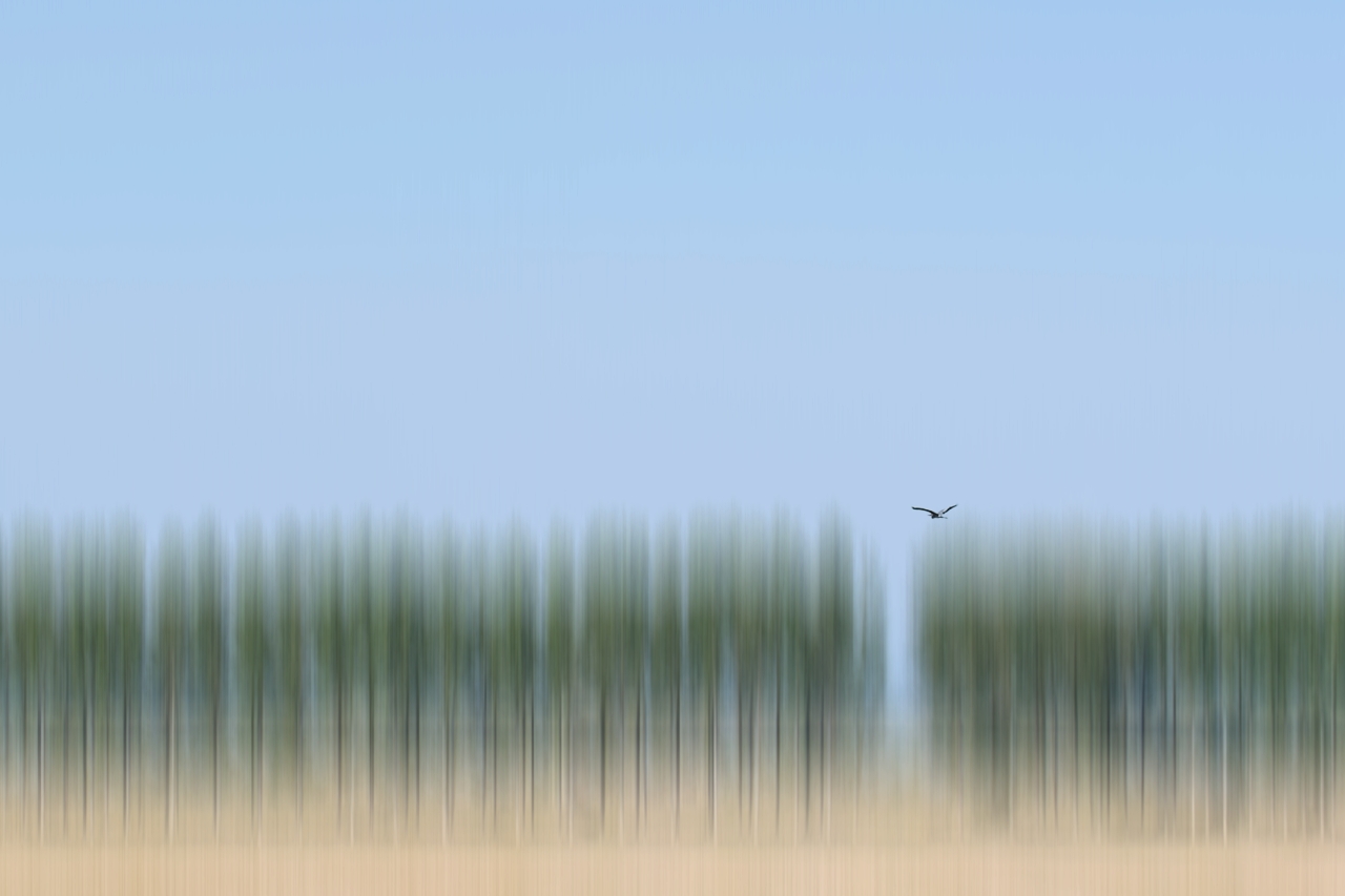 Einflugschneise | d-pixx.de Forum