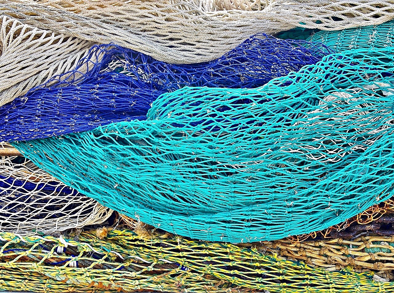 gut vernetzt | d-pixx.de Forum