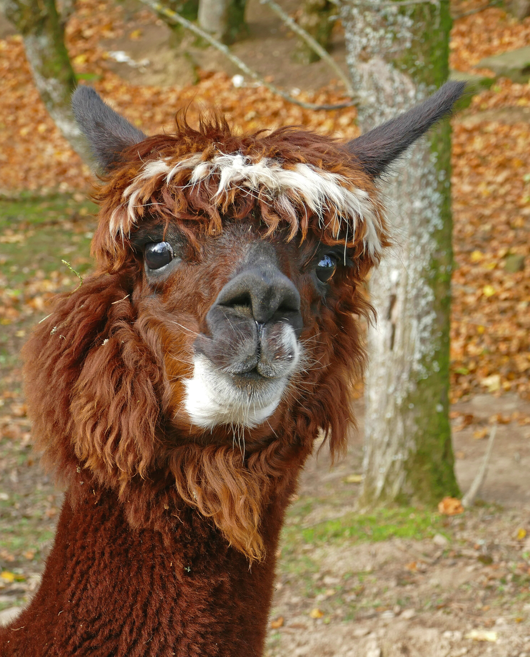 HuHu!!! | d-pixx.de Forum