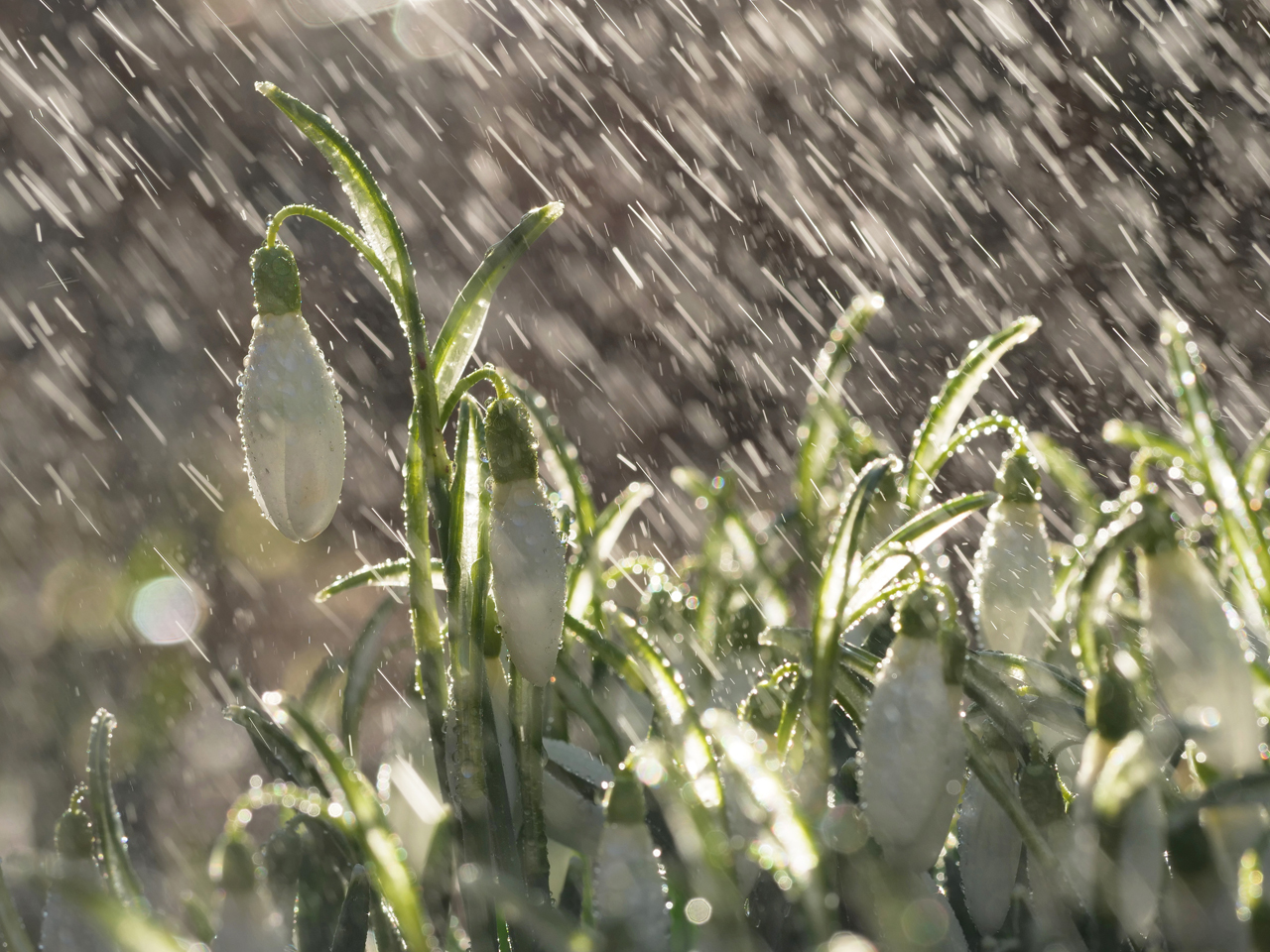 Ich steh im Regen... | d-pixx.de Forum