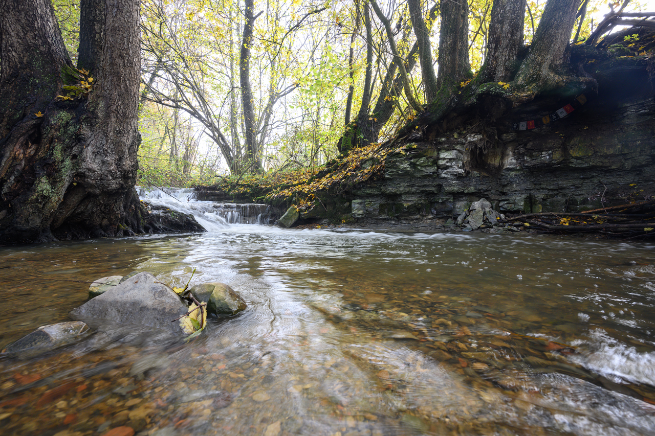 im Bach | d-pixx.de Forum