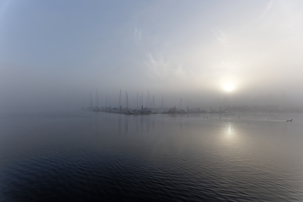 Im Nebel | d-pixx.de Forum