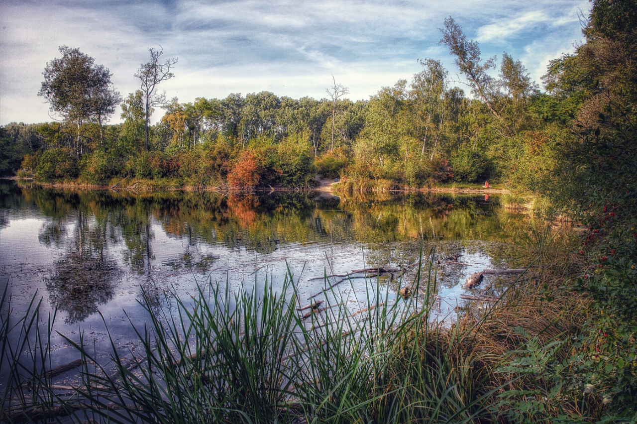 Lobau (2) | d-pixx.de Forum