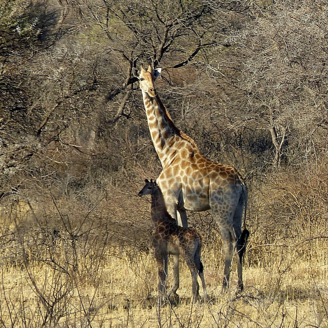 Misstrauisch | d-pixx.de Forum