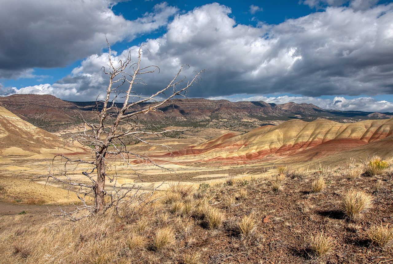 Painted Hills | d-pixx.de Forum