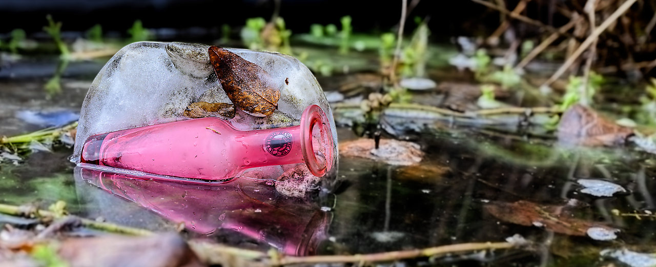 reingefallen, eingefroren, aufgetaut | d-pixx.de Forum