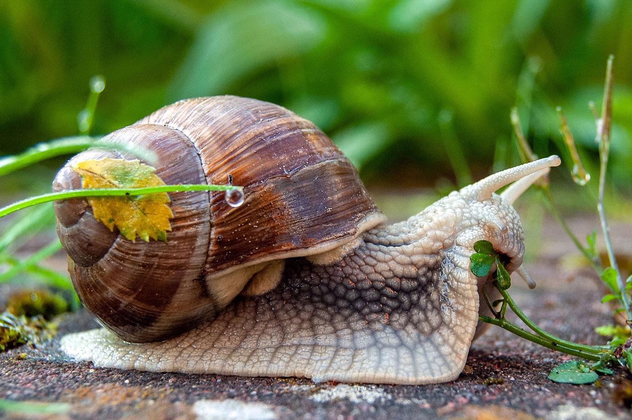 Schmatz... | d-pixx.de Forum