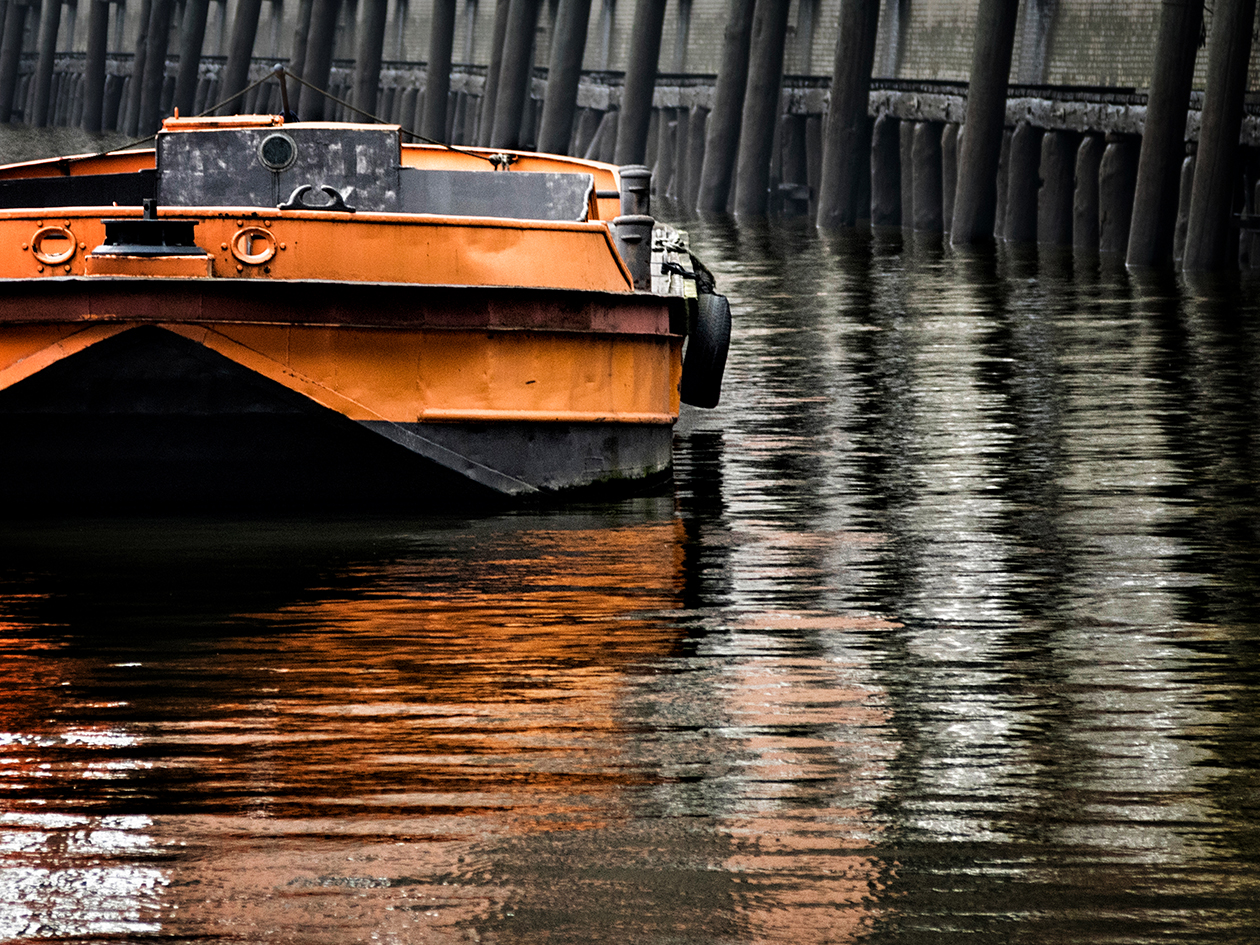 Schute | d-pixx.de Forum