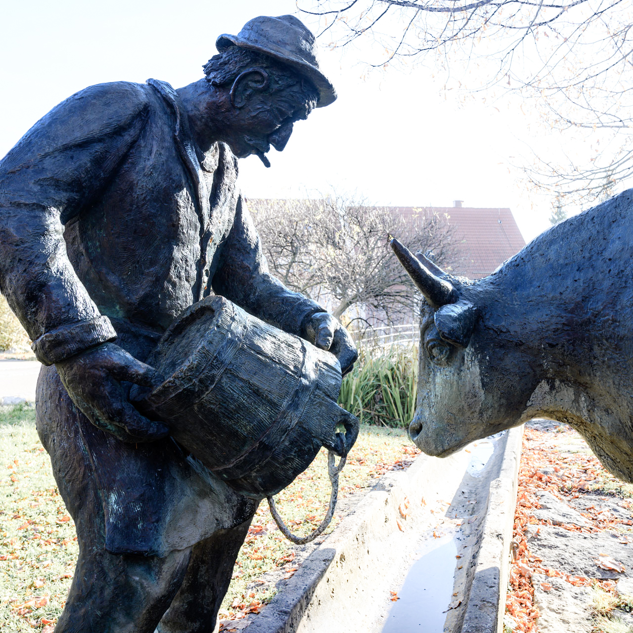 tja--- | d-pixx.de Forum