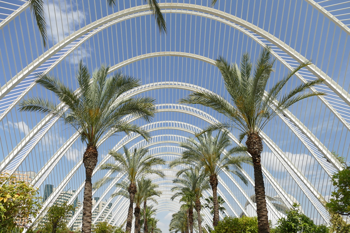 Umbracle | d-pixx.de Forum