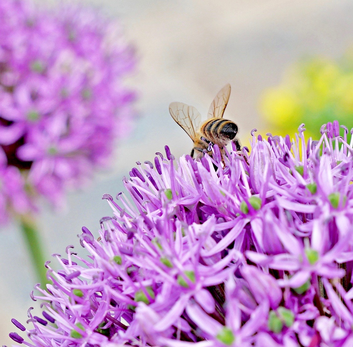 und tschüss! | d-pixx.de Forum