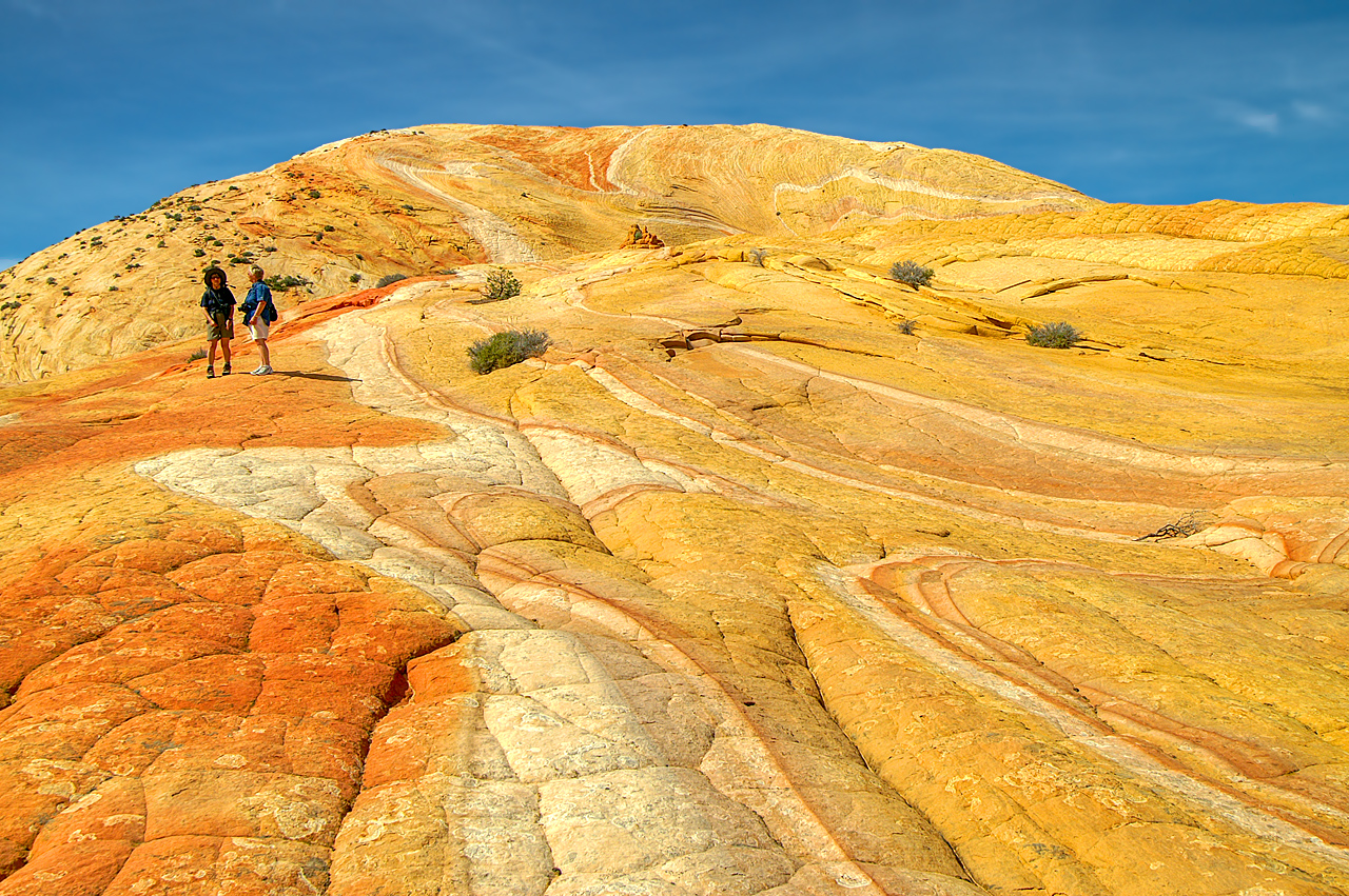 Yellow Rock | d-pixx.de Forum